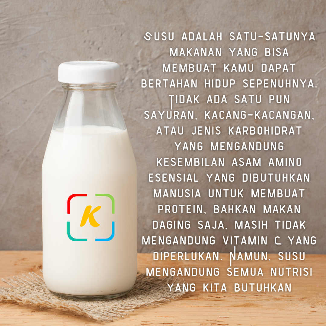 KPSP Setia Kawan – Koperasi Peternakan Sapi Perah Modern di Nongkojajar ...